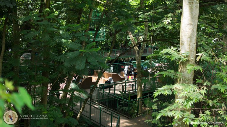 Jalan-Jalan Sehat Ke Hutan Kota BAKSIL (Babakan Siliwangi) - Nyikreuh
