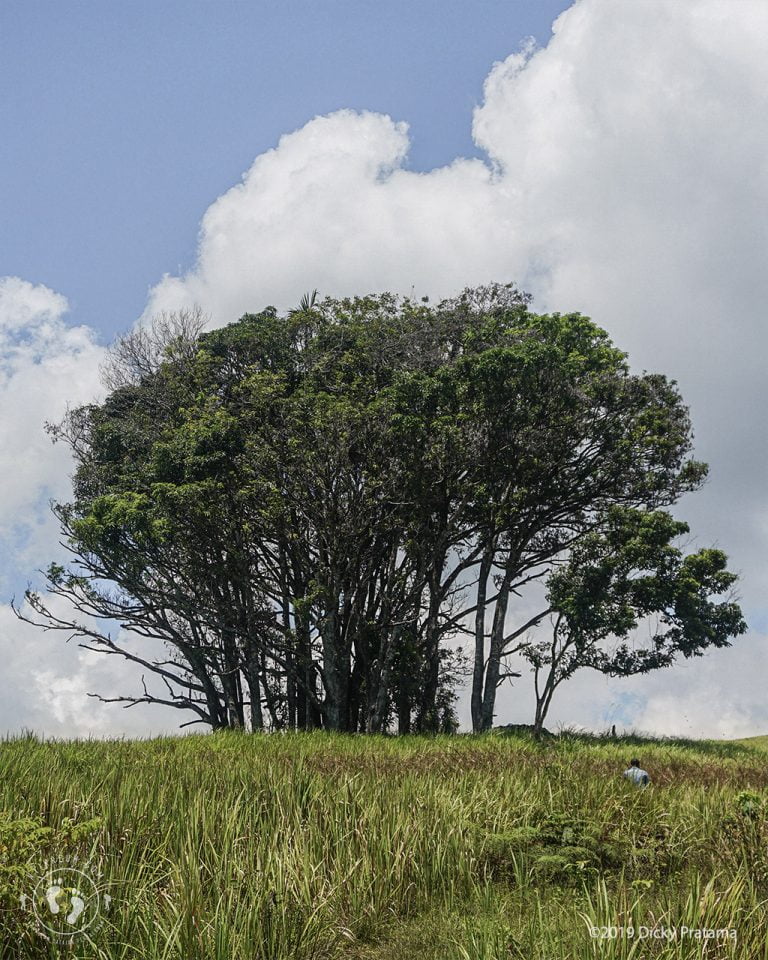 Bukit Babi dan Taman Nasional Danau Sentarum, Putussibau - Nyikreuh